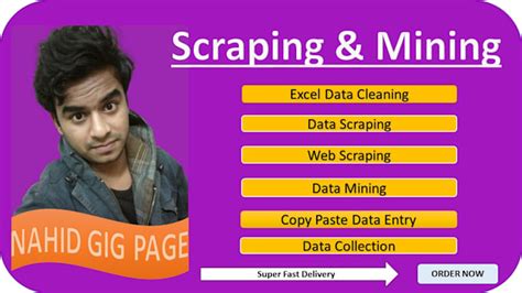 Do Data Entry Data Typing Data Formatting Data Cleaning By