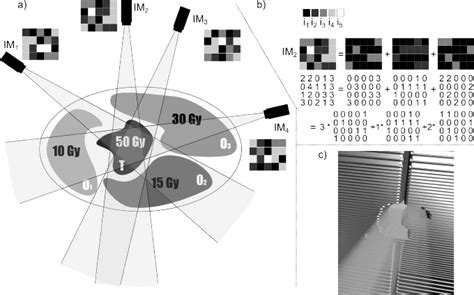 a imrt with some intensity matrices shown in grayscale coded grids