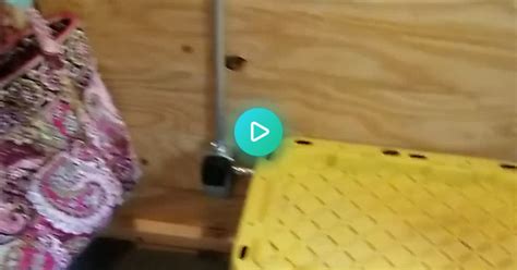 Treehouse Walkaround Album On Imgur