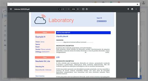 Report Preview
