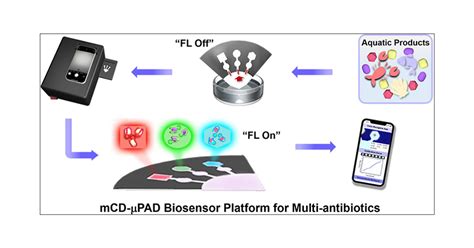 Laser Printed Paper Based Microfluidic Chip Based On A Multicolor Fluorescence Carbon Dot