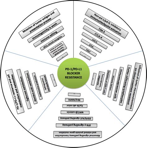 Of Resistance Factors Of Pd‐1pd‐l1 Tumor Resistance To Pd‐1pd‐l1