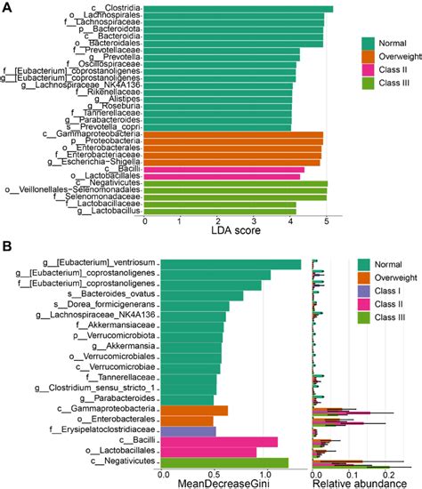 Microbial Biomarkers And Correlation With Different Degrees Of Obesity