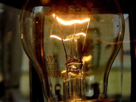 무료 사진 어둠 전기 조명 전구 그림자 유리 램프 빛