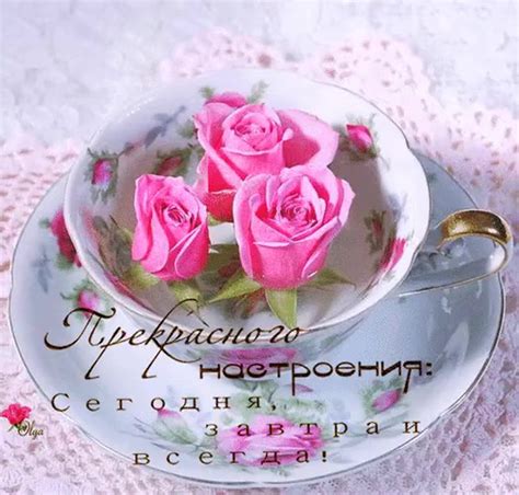 Пожелания хорошего дня и отличного настроения 82 фото