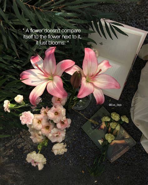 Pink Lily Aesthetic Vintage Quotes Lilies Flowers Poetry Lily