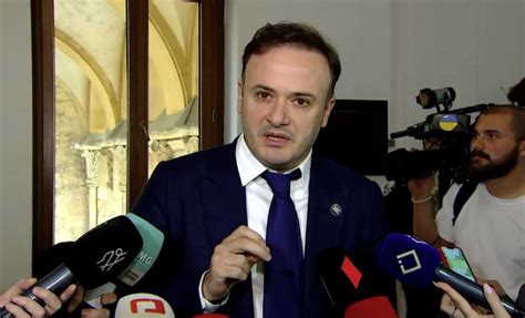 ზარქუას სურს საქართველოში გერმანიის ელჩის გაწვევის პროცედურა დაიწყოს