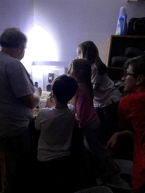 Hatching Project Messymom