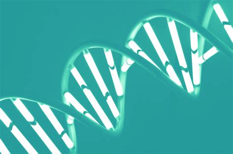 Source Bioscience Harwood Private Equity
