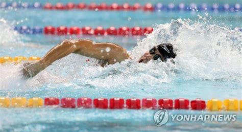 물살 가르는 황선우대표선발전 자유형100m 1위 네이트 스포츠