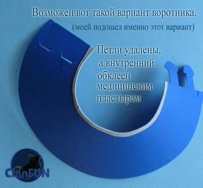 Добро пожаловать на www.chinfun.narod.ru - сайт о шиншиллах