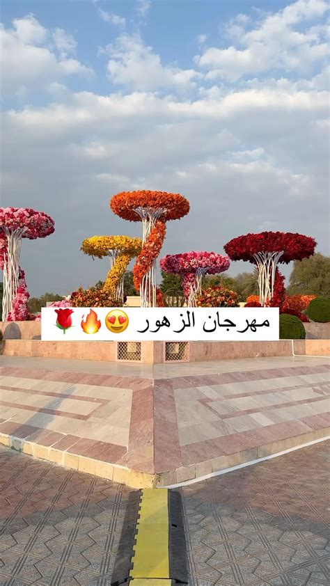 Foodaholics 🇴🇲 ‎مهرجان الزهور في ليالي مسقط🌸🌹🌹 موقعهم في حديقة القرم سعر الدخول ريال التوقيت