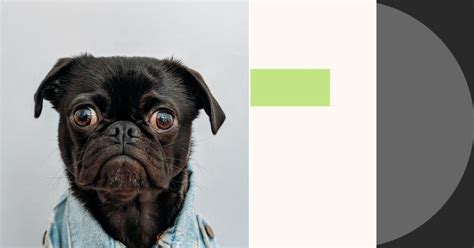 list sql stored procedures curated by alina bazavan backend