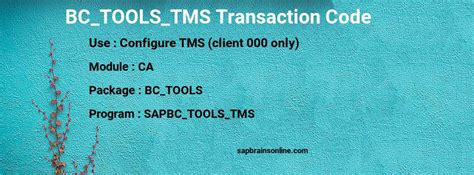 BC TOOLS TMS SAP Tcode For Configure TMS Client 000 Only