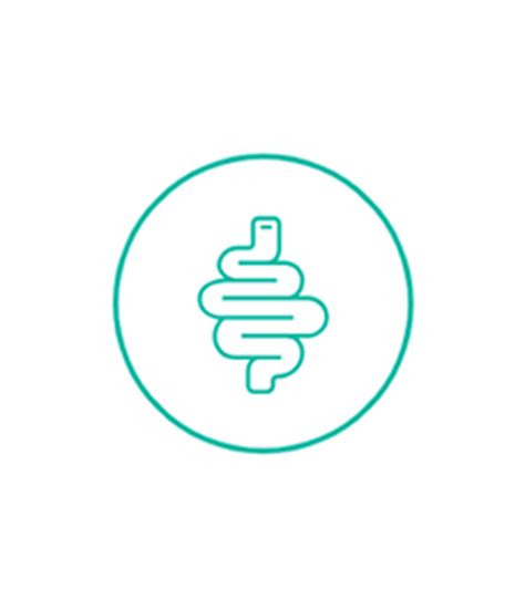 Toolbox Genomics GI Panel Personalized Insights For Gastrointestinal Health