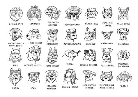 Premium Vector Set Of Cute Dog Breeds Hand Drawn Vector Illustration