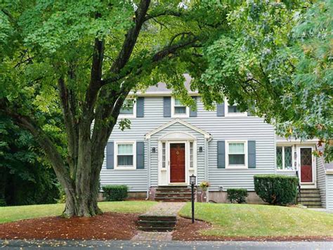 Tree Root Blocker — Mainline Materials