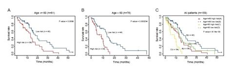 Stratification Analyses Of All Patients Adjusted To Age Using The