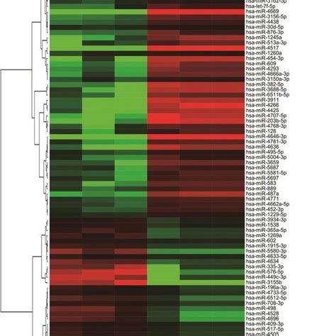 Heat Map Of The Mirna Microarray Using Serum Samples From Three Download Scientific Diagram