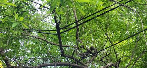 ‎error Codes With Official Xfinity Router Which Causes Outages Every