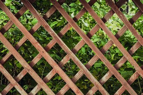 How To Attach A Trellis To A Wall Without Drilling Step By Step Guide