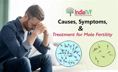 Testicular Atrophy Causes Symptoms And Treatment India Ivf Fertility