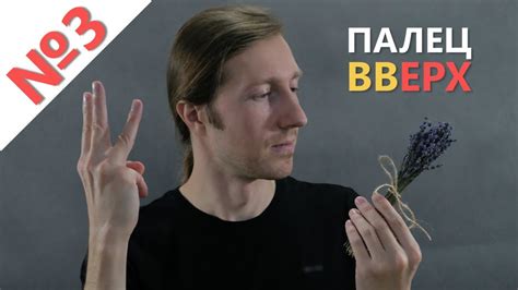 Пальчиковая гимнастика Пальчиковые игры развитие мелкой моторики Youtube