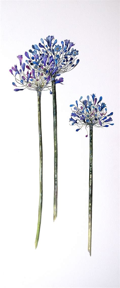 Leaf Classification Plant Science Leaf Lesson Plans Leaf Drawing