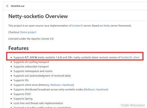 踩坑使用连接netty Socketio后台时error Server Errorit Seems You Are Trying To Reach A Socket