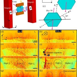 Experimental Setup And Comparison Of Growing Microstructure With And Download Scientific