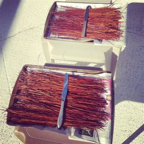 Pine Needle Baskets Supplies Get Ready To Weave Beautiful Baskets