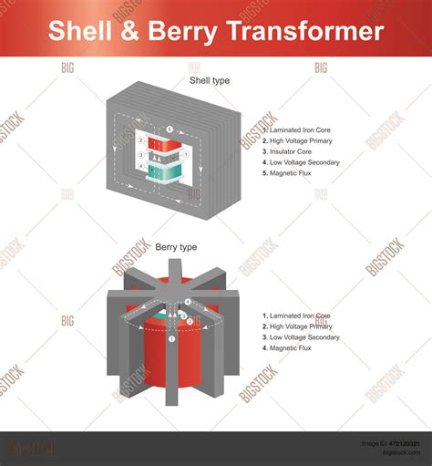 Shell And Berry Vector And Photo Free Trial Bigstock