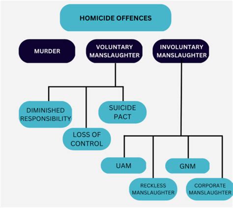 Lecture And Tutorial 3 Homicide Flashcards Quizlet