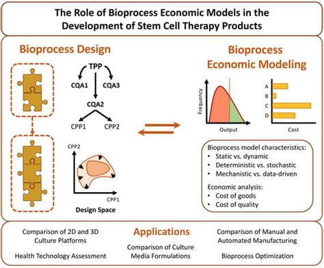 Bioengineering Special Issue Design Optimization And Scale Up Of