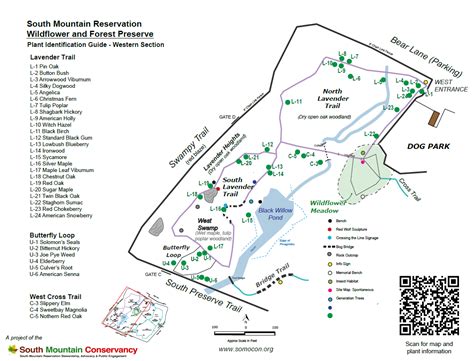 SMR Wildflower Forest Preserve Plant Identification Guide South Mountain Conservancy