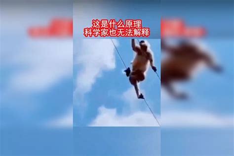 搞笑段子剧闪电猴