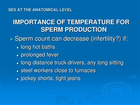 PPT SEX AT THE ANATOMICAL LEVEL PowerPoint Presentation Free Download ID