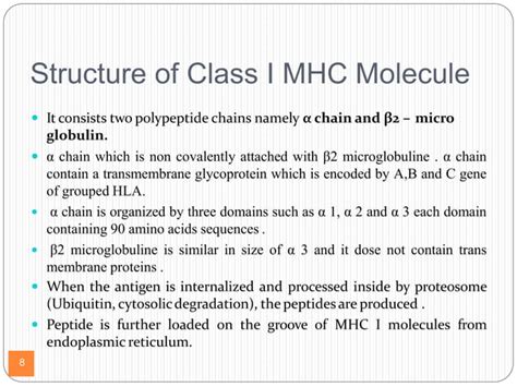 Mhc Major Histocompactibility Complex Definition Classification