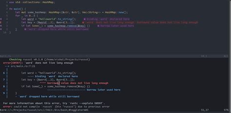 Media Hashmap Behaviour Inside A Loop Due To Lifetime Issue Rrust