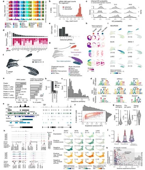 作图没思路看这里科研审美积累第 期 知乎