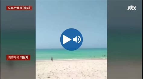 오늘자 사건반장에 올라온 강원도 고성 해변에서 음란행위하는 커플 ㄷㄷㄷ Mp4 포텐 터짐 최신순 에펨코리아