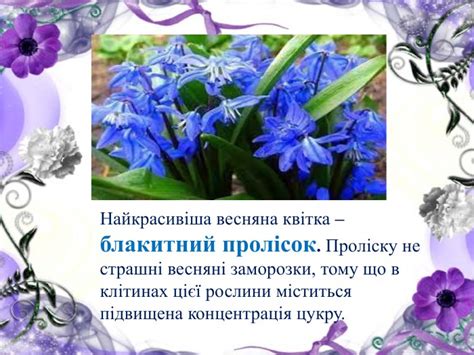 Перші весняні квіти