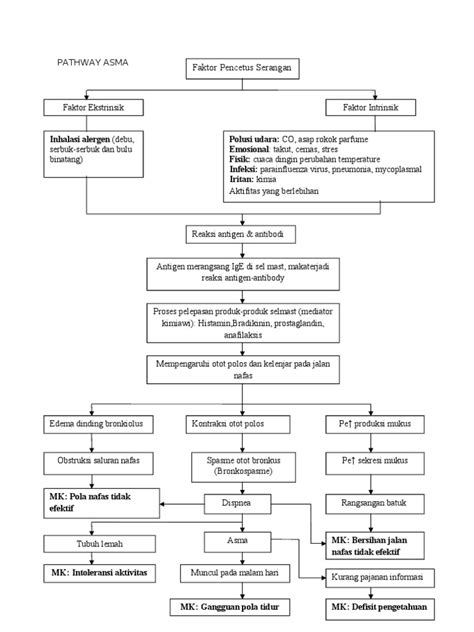 Pathway Asma Pdf