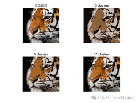 【图像压缩】基于k Means算法实现图像压缩附matlab代码kmeans压缩图片 Csdn博客