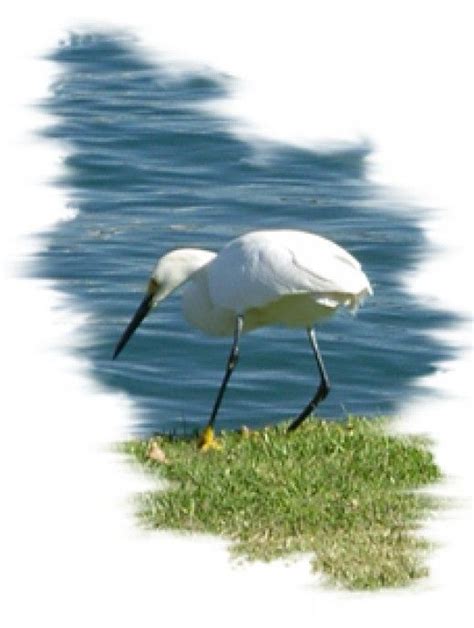 Photoshop Masking Tutorial Extract A Photo