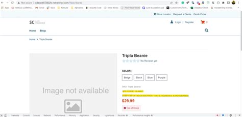 What Are Suitecommerce Advanced Sca Extensions Part 1