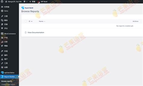 Report Builder for wpDataTables v1 3 6 报表插件破解版下载 芒果运营