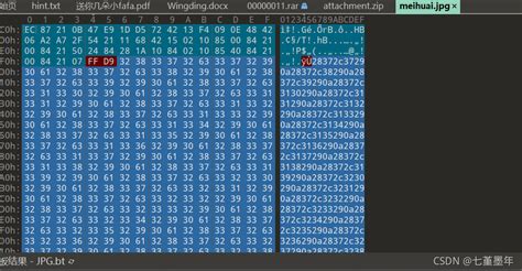 Buuctf Misc 被劫持的神秘礼物~梅花香之苦寒来梅花香之苦寒来 1 注意得到的 Flag 请包上 Flag 提交 Csdn博客 Buuctf Misc 被劫持的神秘礼物~梅花香之苦寒来梅花香之苦寒来 1 注意得到的 Flag 请包上 Flag 提交 Csdn博客