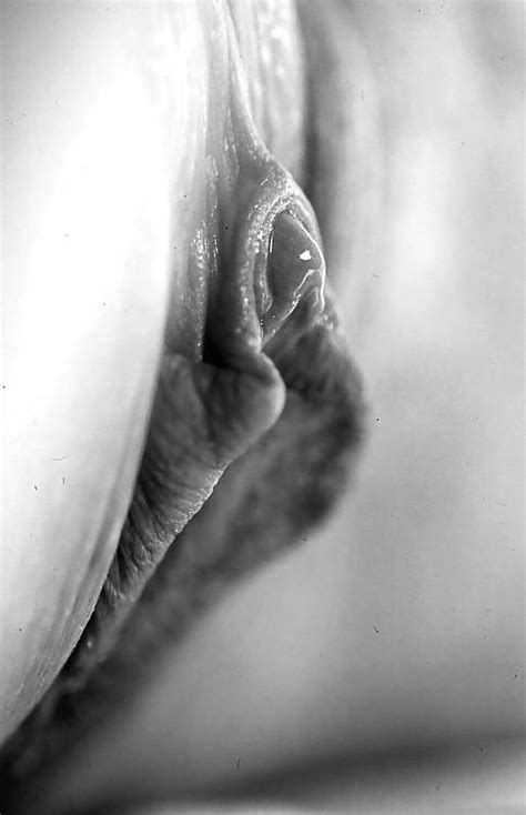 The Mother Tongue Porn Pic Eporner