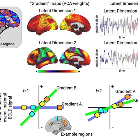 Latent Space Variance Explained And Activity Gradient Maps A The